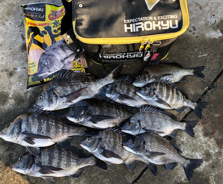 Boarding the Chinu front northward!Hata – "Hirokyu", a comprehensive ...