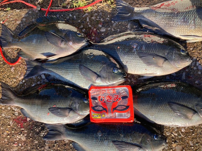 Oita Tsurumi Area Karematsu Aso – Comprehensive fishing bait ...