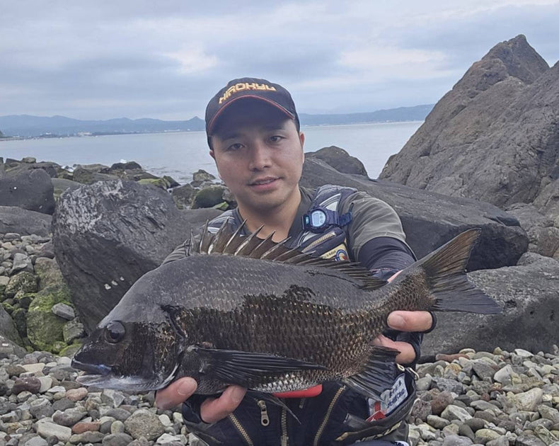 Spring black porgy in Kinko Bay - Hirokyu, a comprehensive manufacturer of fishing bait